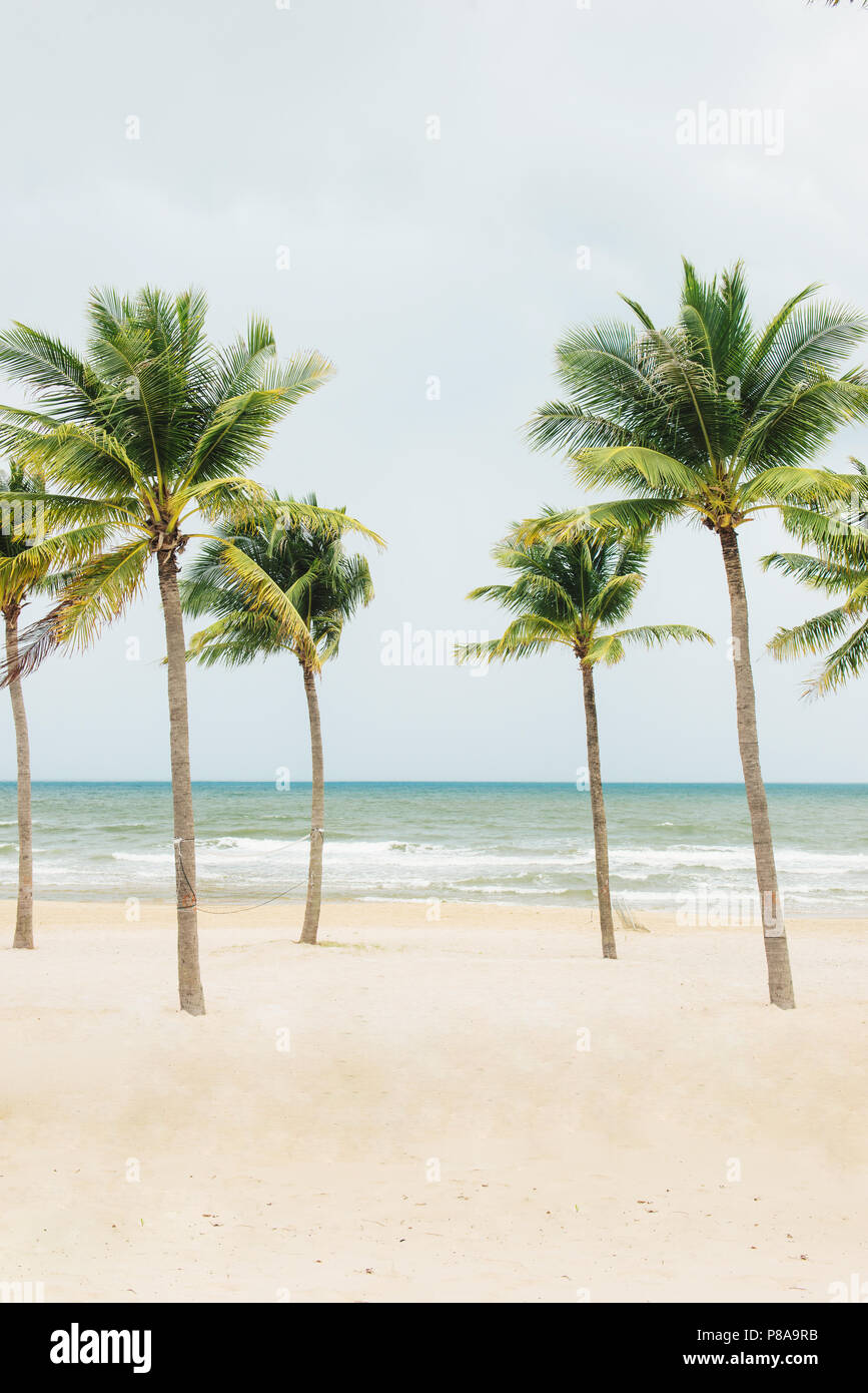 Palm trees natural background. blue sky and tropical plants Stock Photo ...