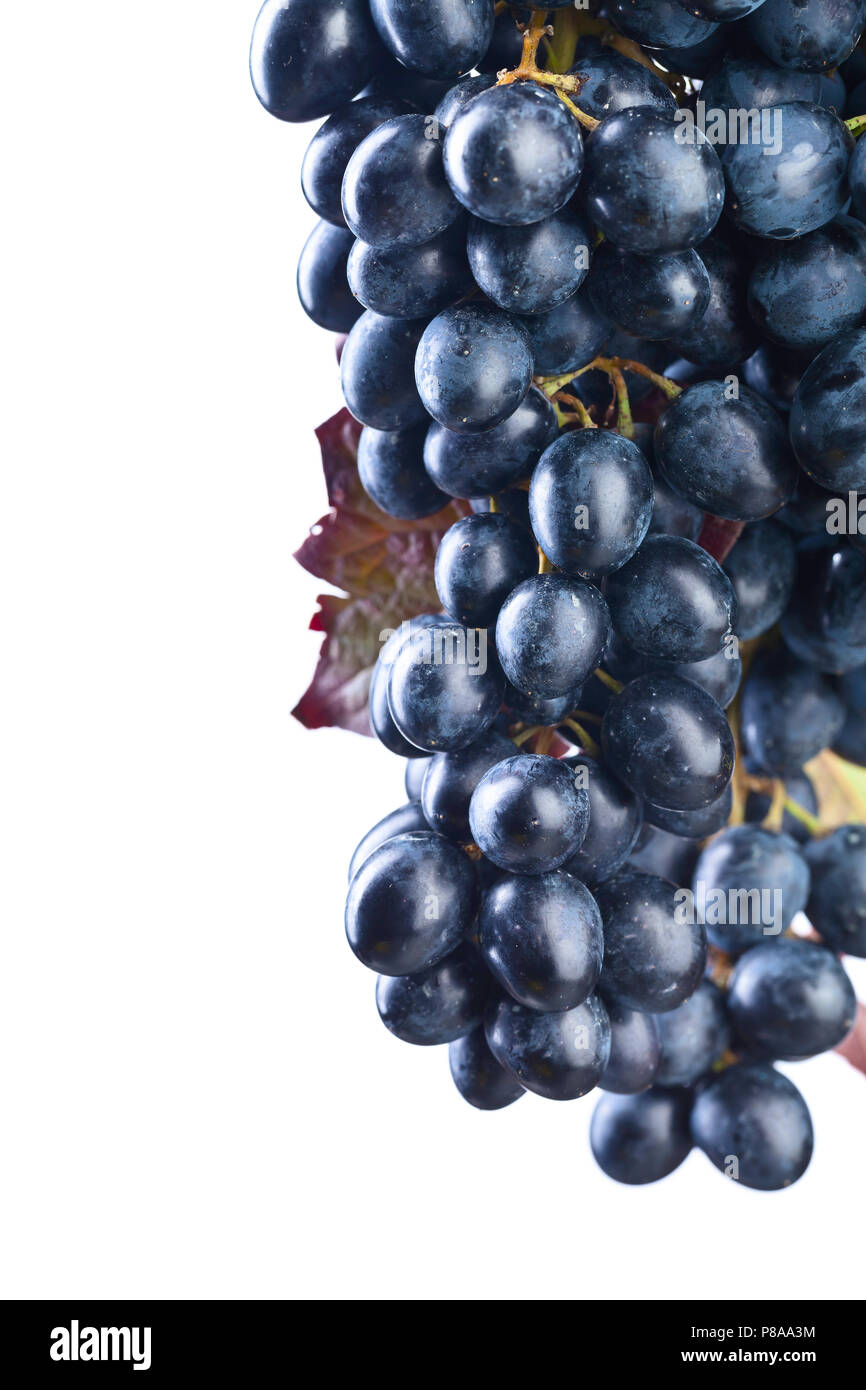 Grapes bunch with leaves isolated on white background Stock Photo - Alamy