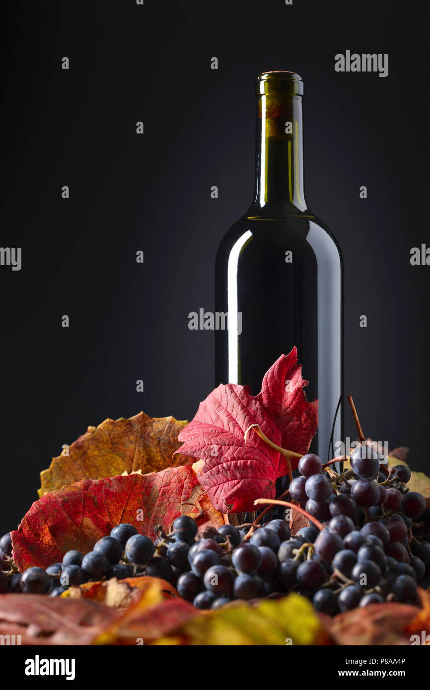 Red wine bottle and dry vine leaves , wine tasting and autumn concept ...