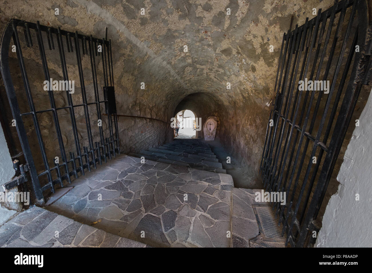 25 Basement Remodeling Ideas & Inspiration: Basement Gate Design