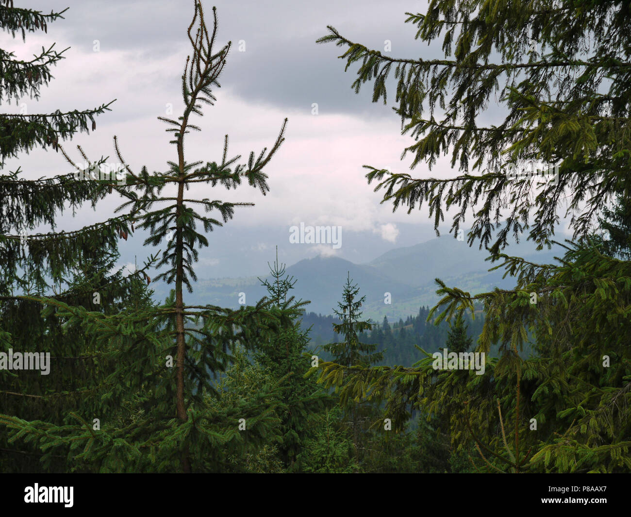 Dull sun hi-res stock photography and images - Alamy