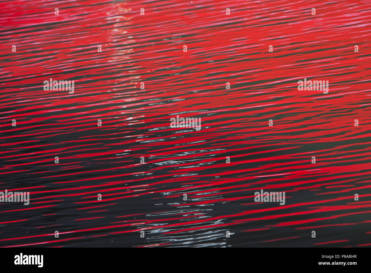 Birds fly across hi-res stock photography and images - Alamy