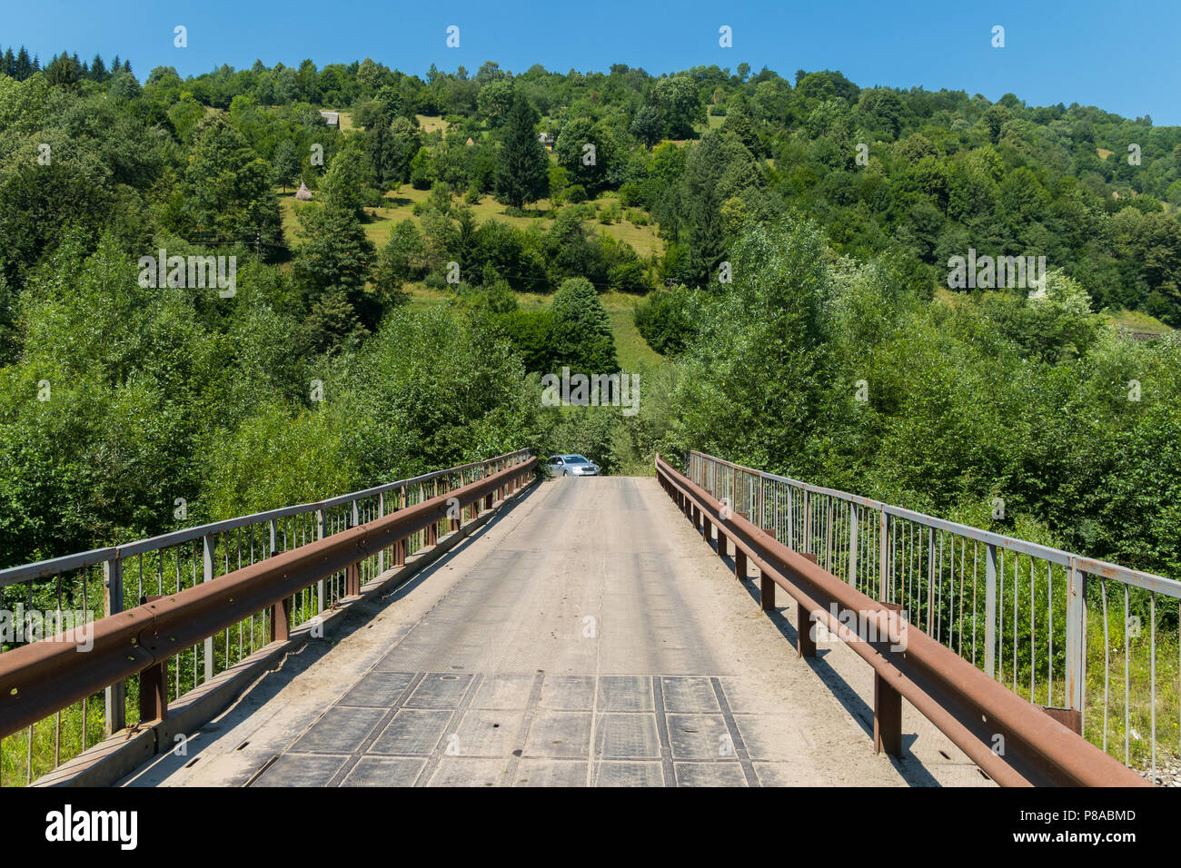 Old car bridge with rusty railing against the background of a green ...