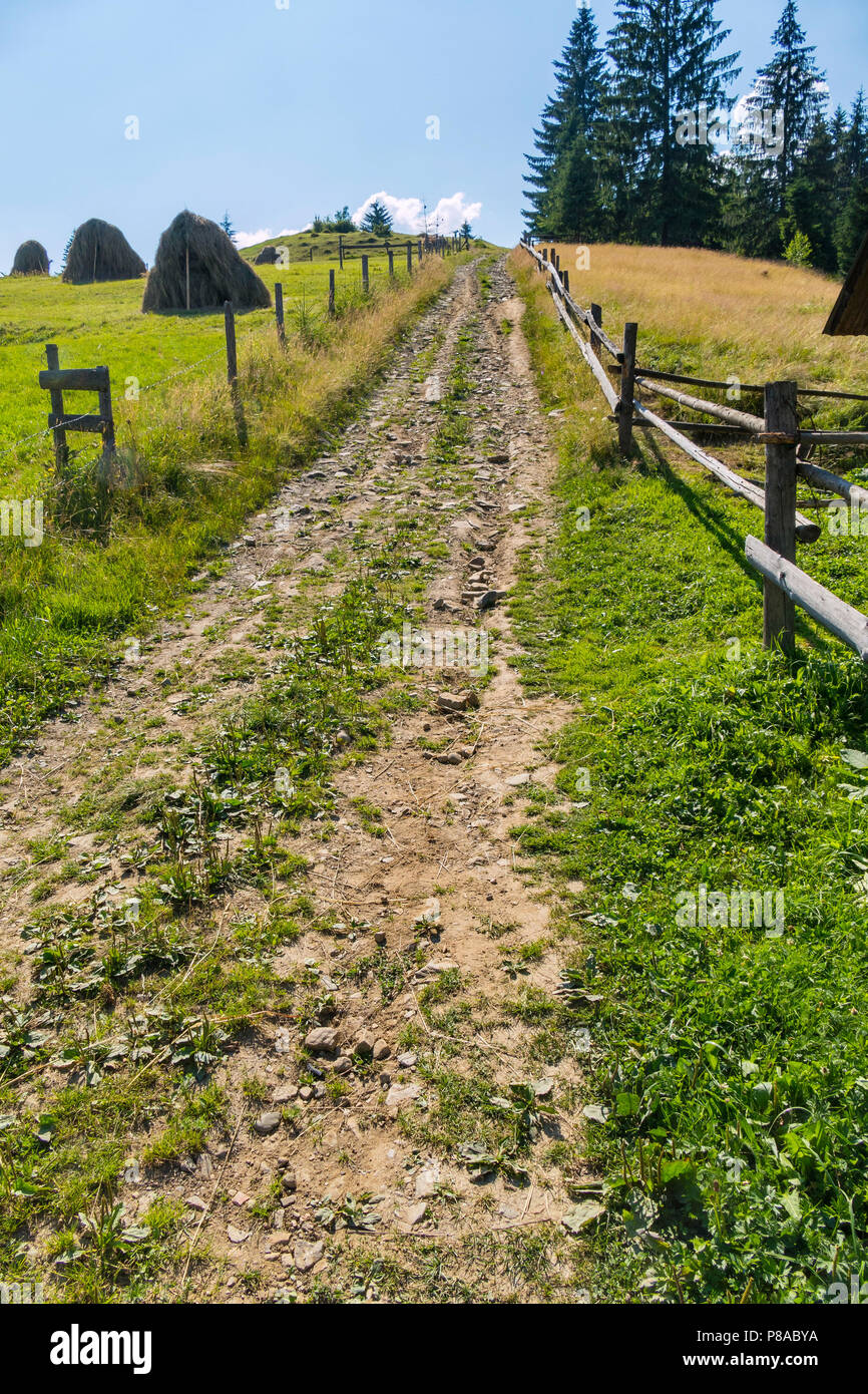 Trailing line hi-res stock photography and images - Alamy