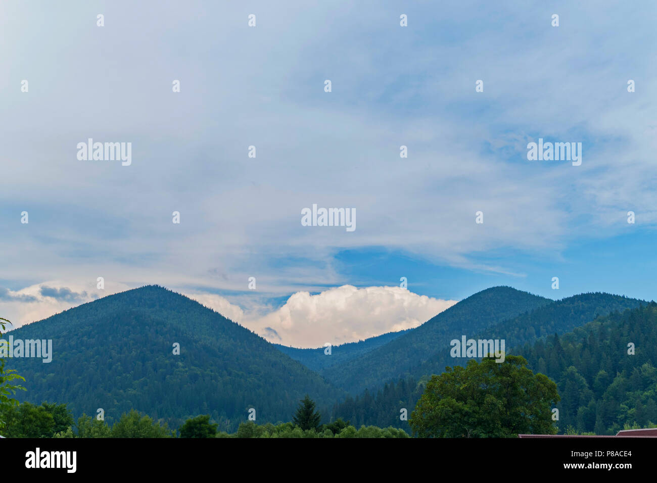 beautiful blue Carpathian mountains against the background of large ...