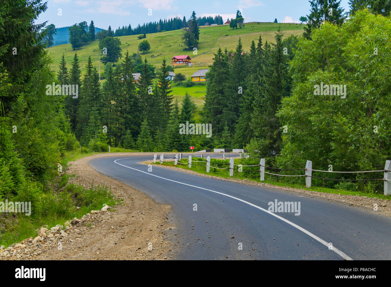 asphalt road with a dividing strip going between green trees against a ...