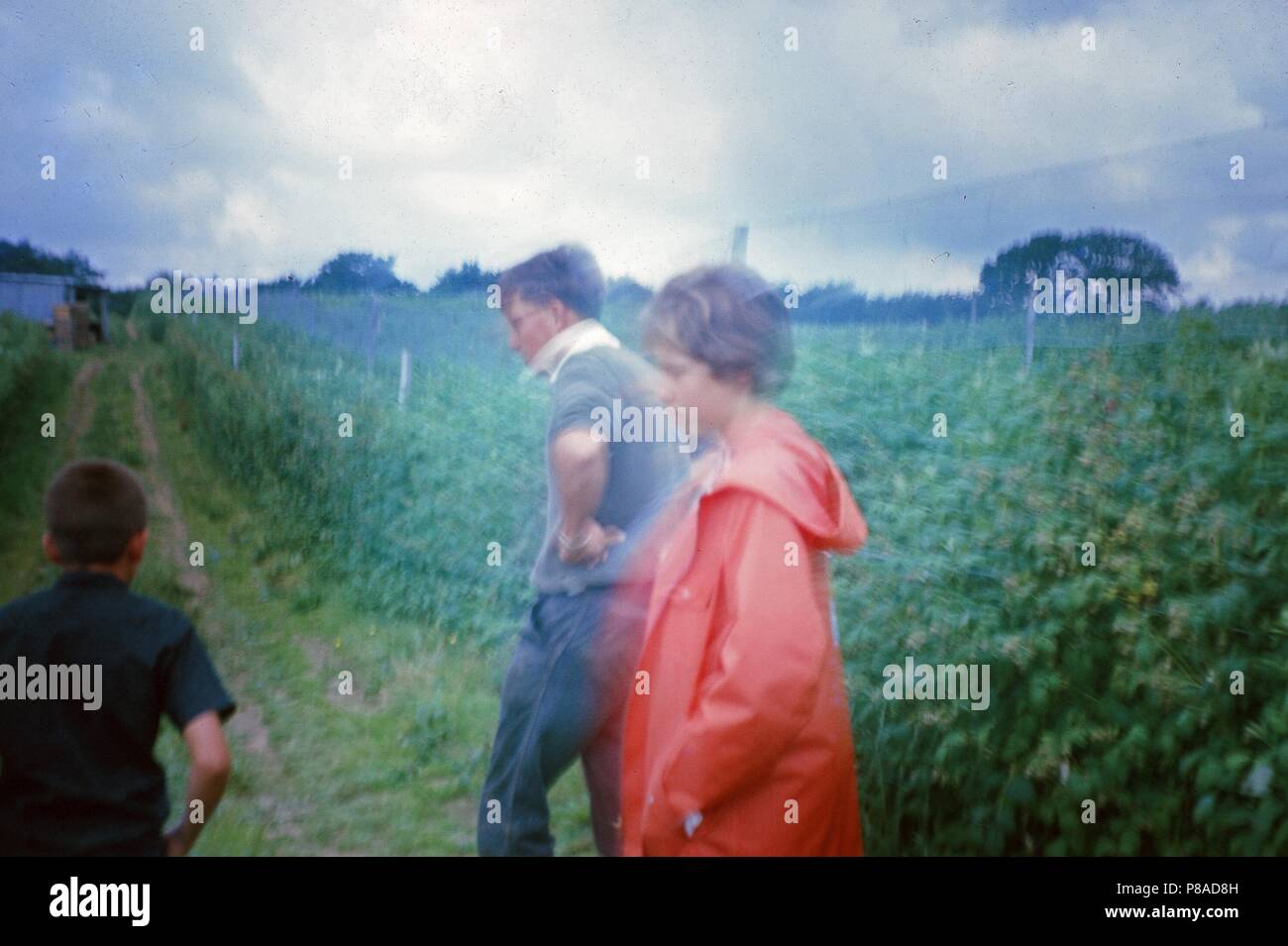 Vintage archival photograph taken in 1965 Stock Photo - Alamy