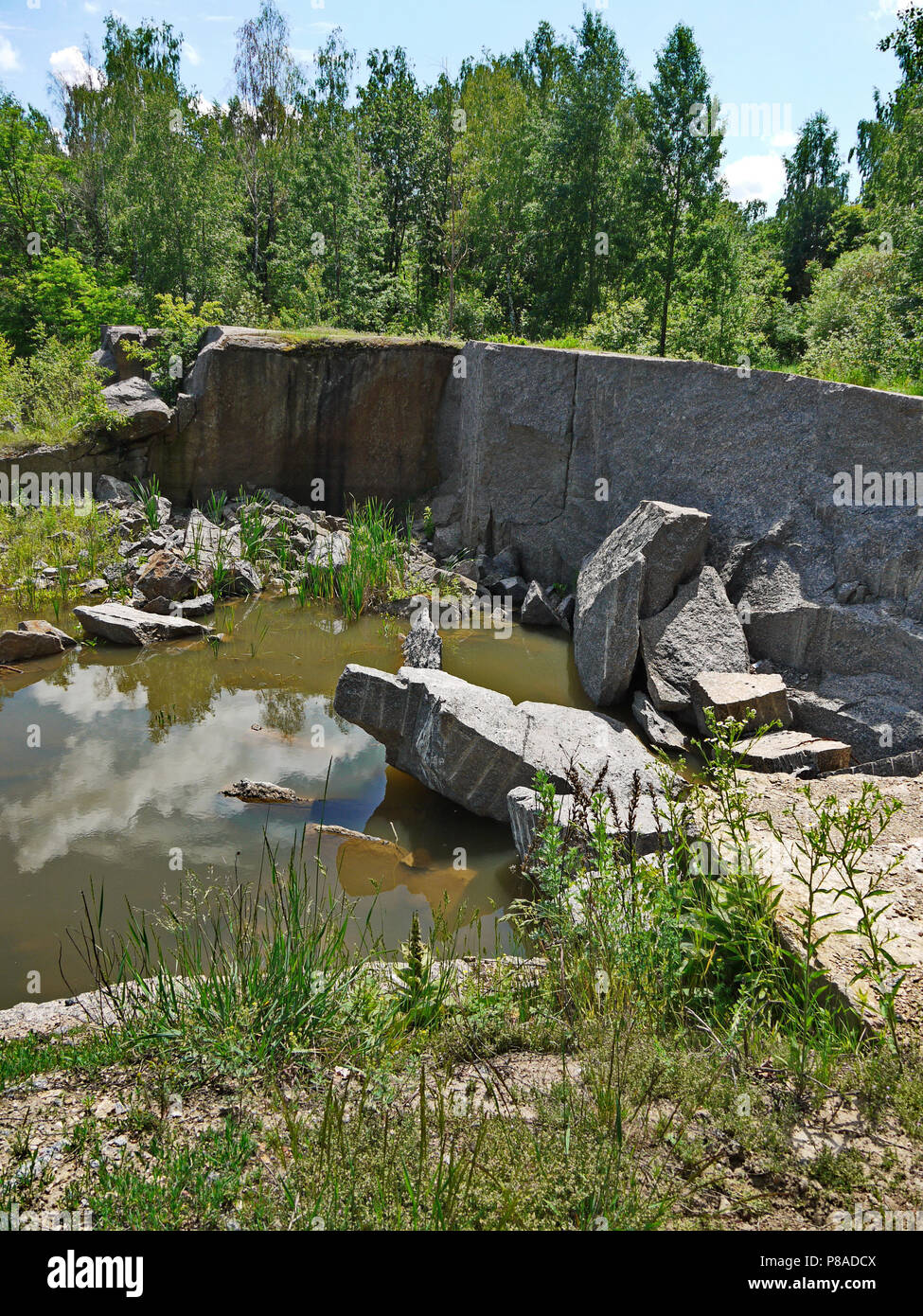 stones lying in the form of a dam blocking the path of water in a small ...