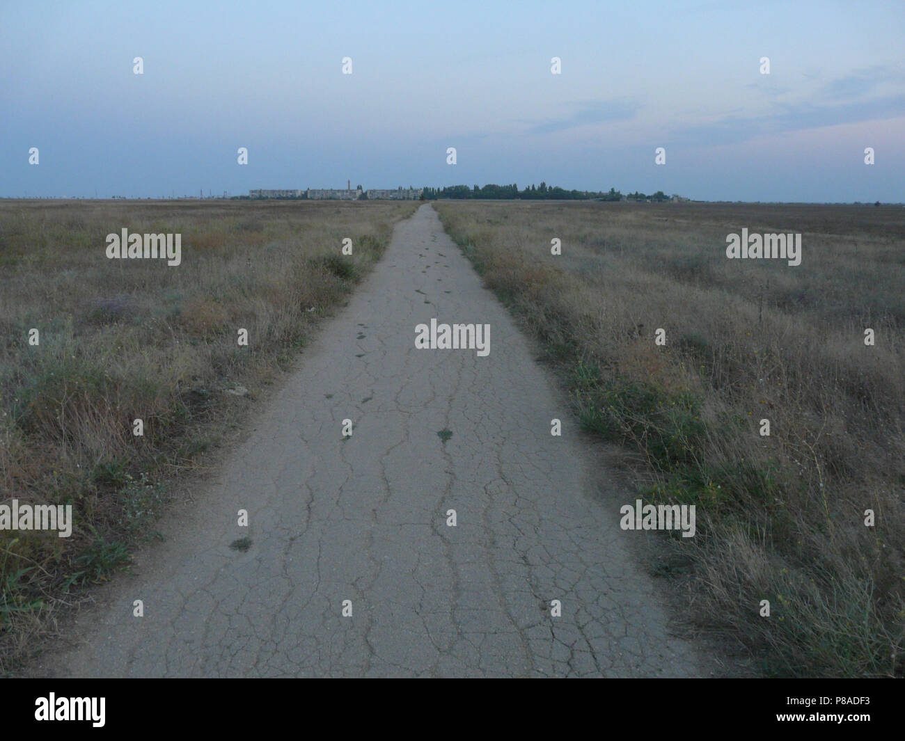 cracked asphalt path among the withered grass leading to houses in the ...