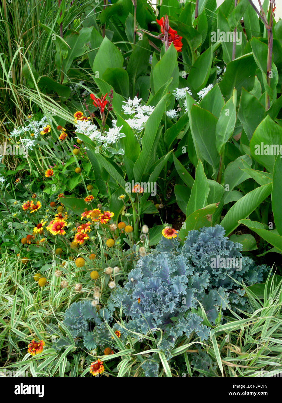 Park garden with multicolored flowers and a variety of decorative ...