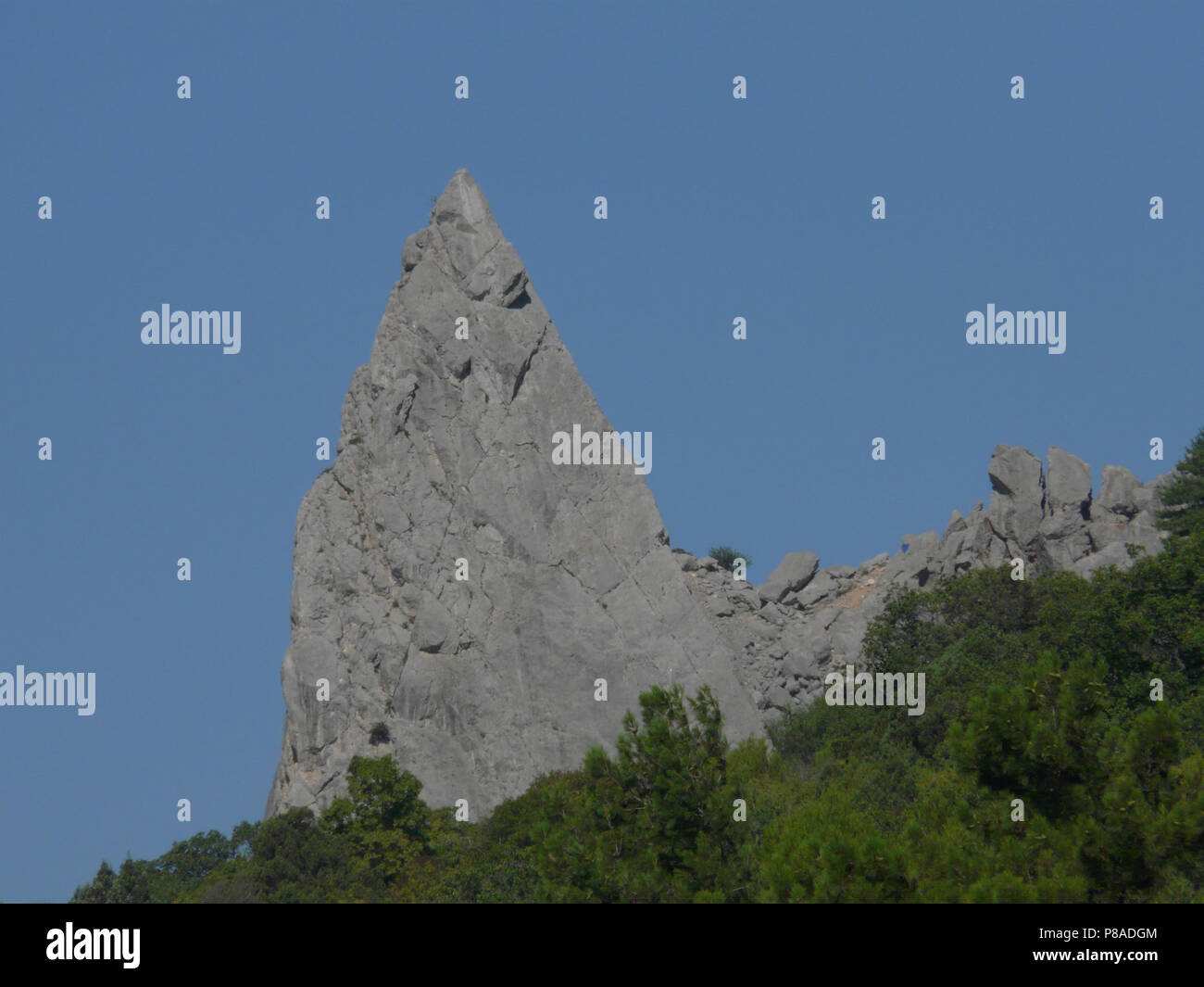 Huge tree crowns hi-res stock photography and images - Alamy