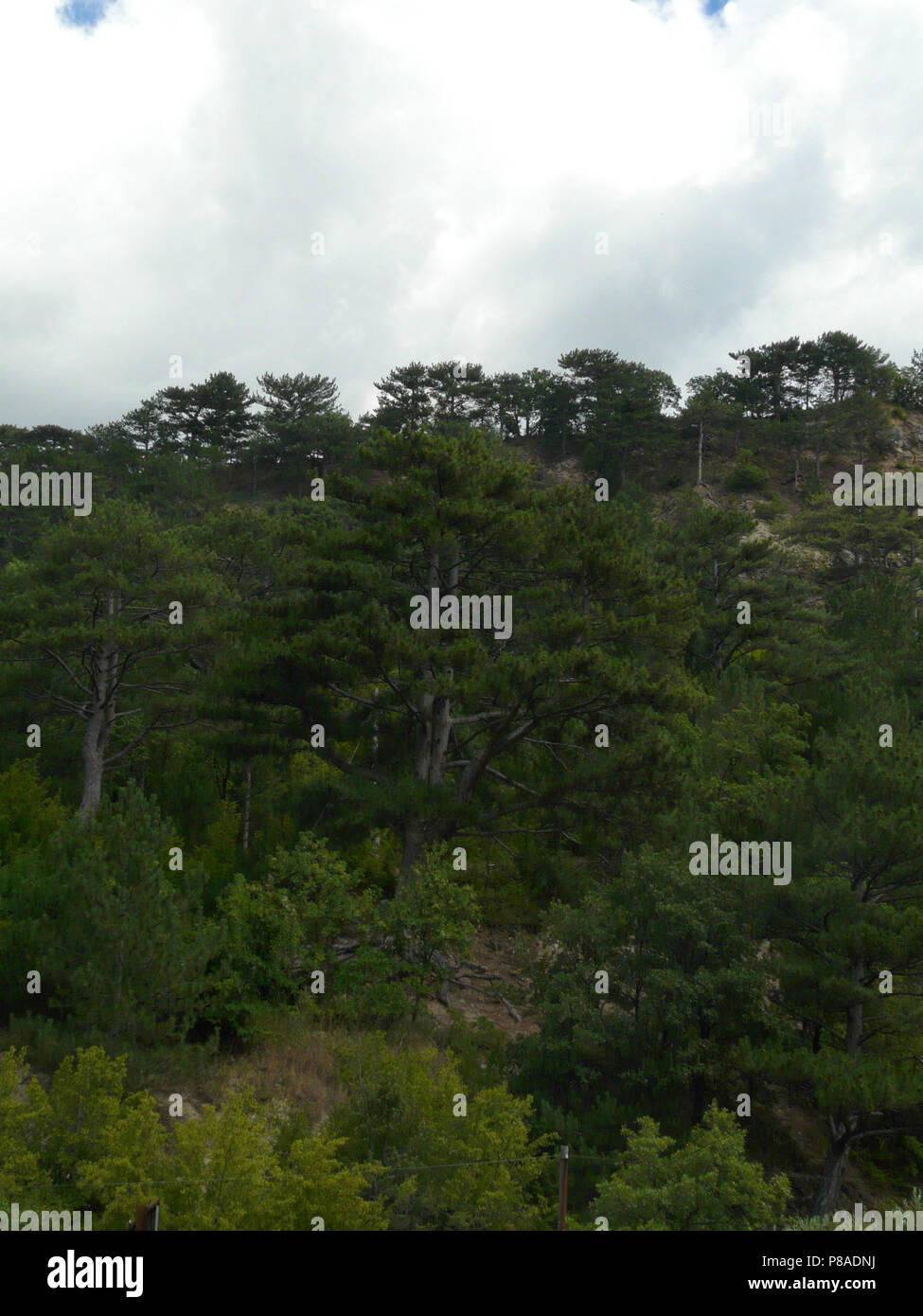 Floating hill tops hi-res stock photography and images - Alamy