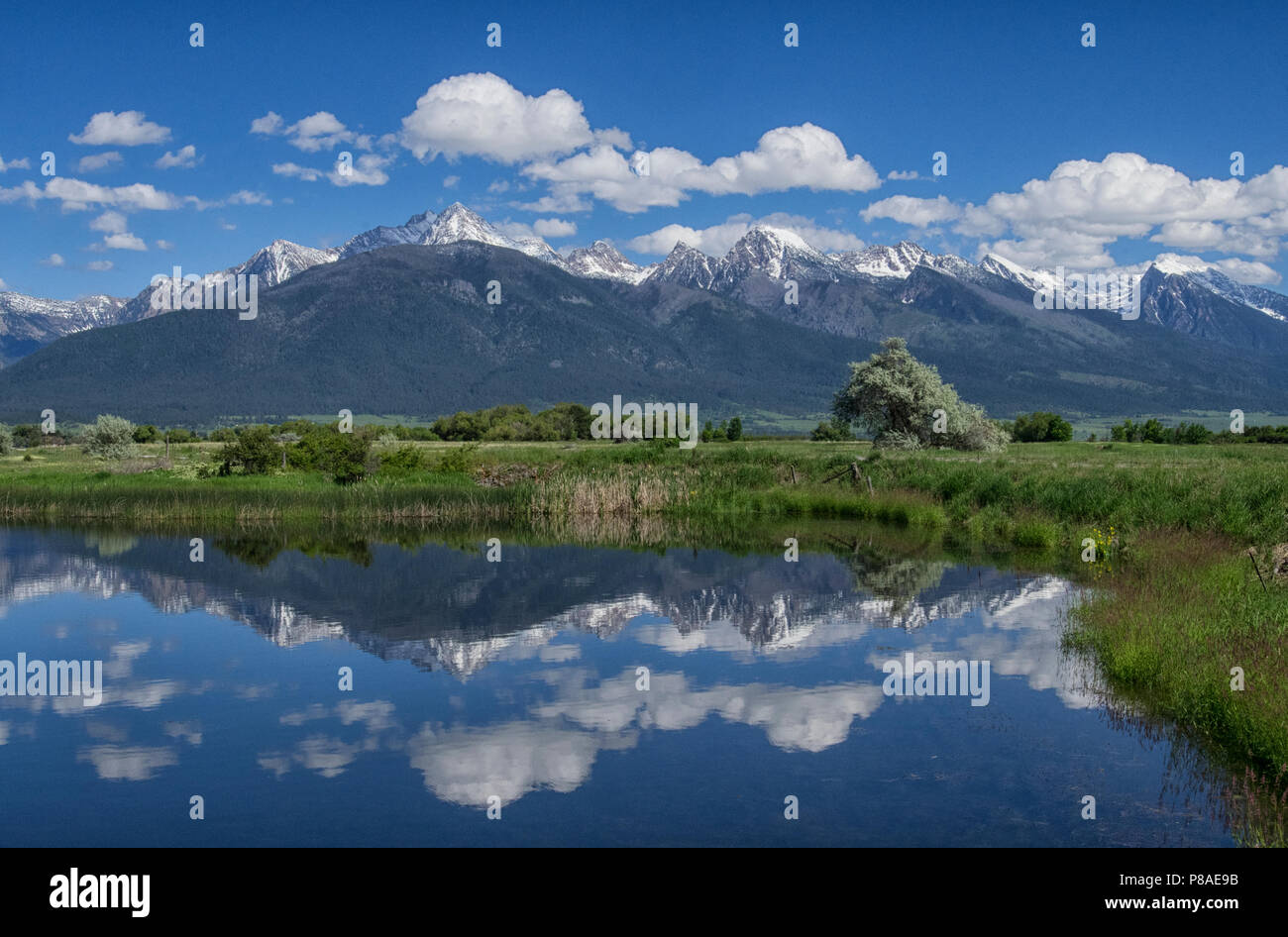 North America; United States; Montana; Mission Mountains; Sunset ...