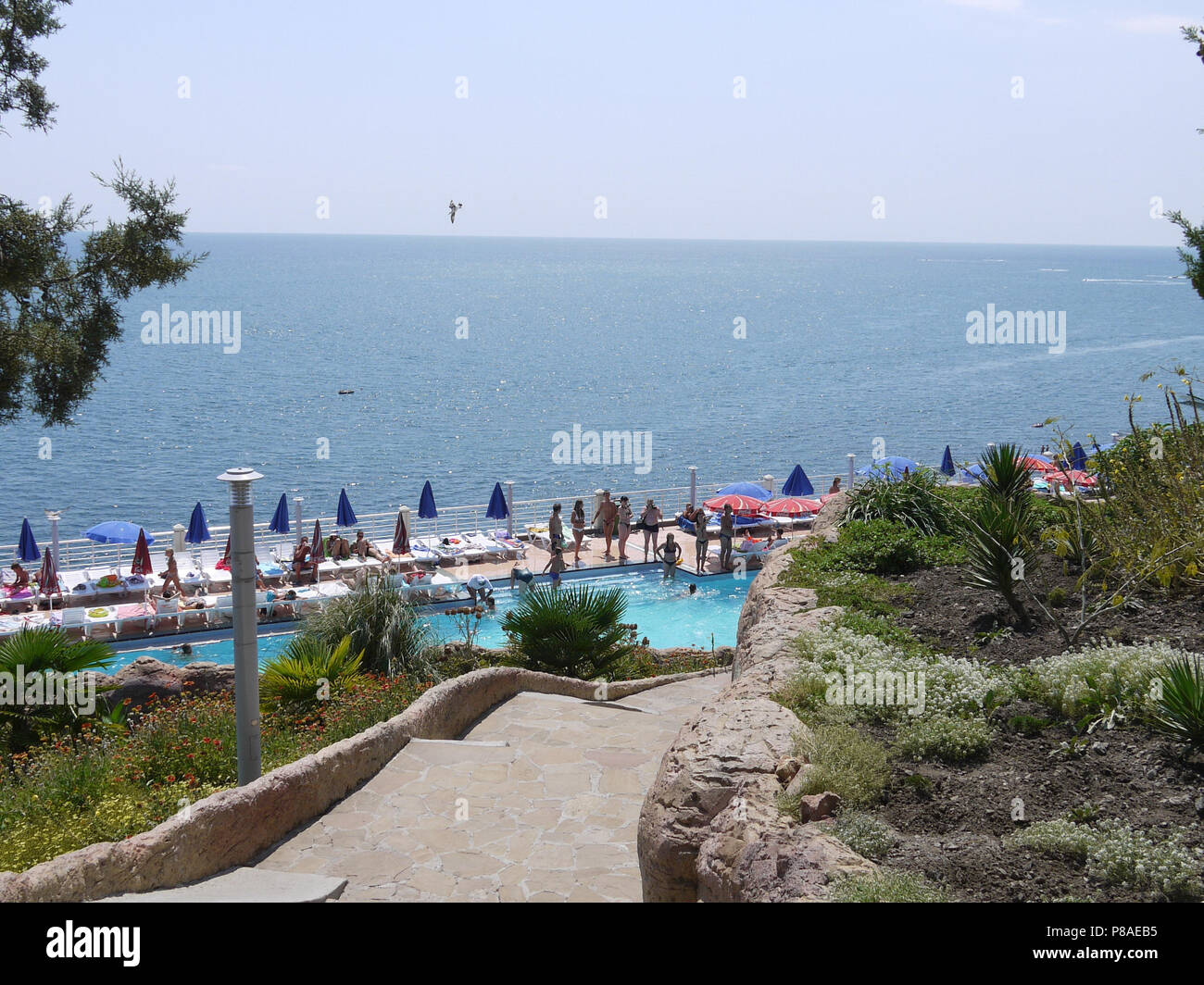 A stone path leading to a transparent pool with a huge number of ...