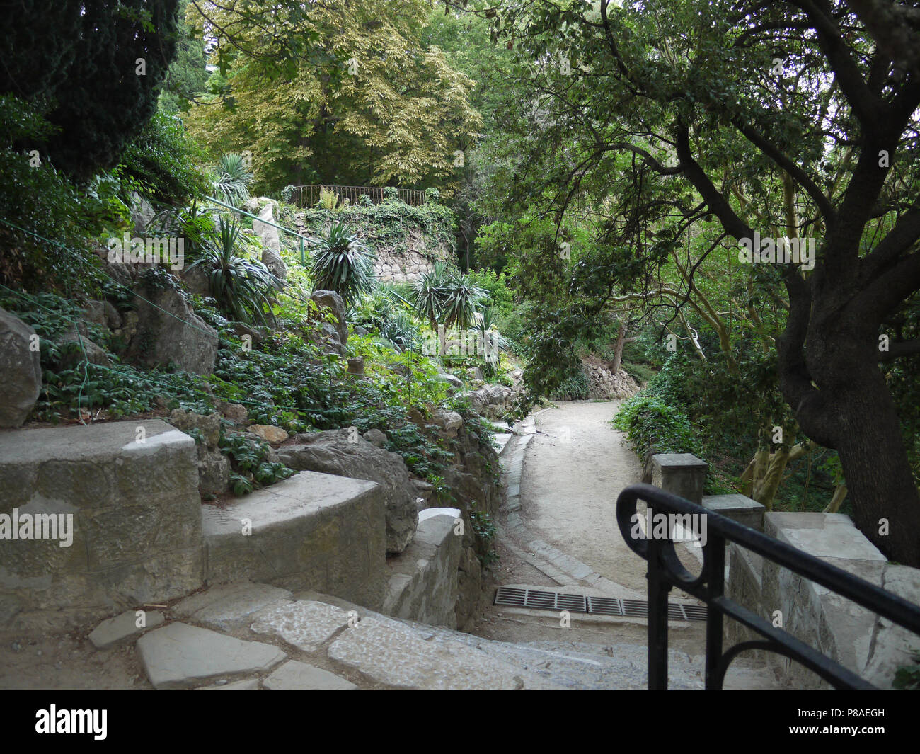 Pathway amongst greenery hi-res stock photography and images - Alamy