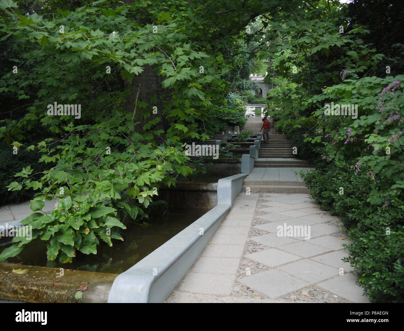 The park with an unusual pond flowing down the stairs. Unusual decision ...