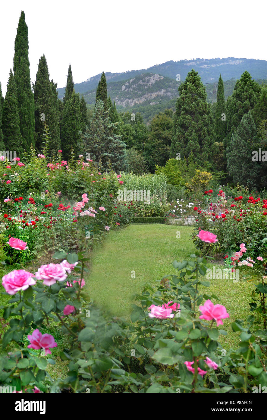 Large decorative flower bed with red and pink rose bushes on the ...