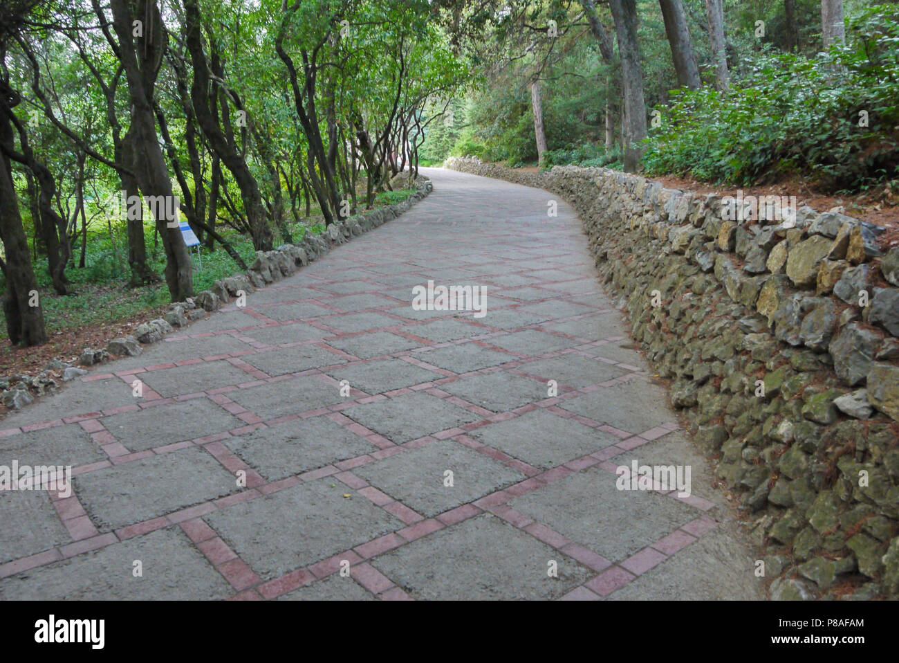 an excellent path in the park lined with tiles with trees on one side ...