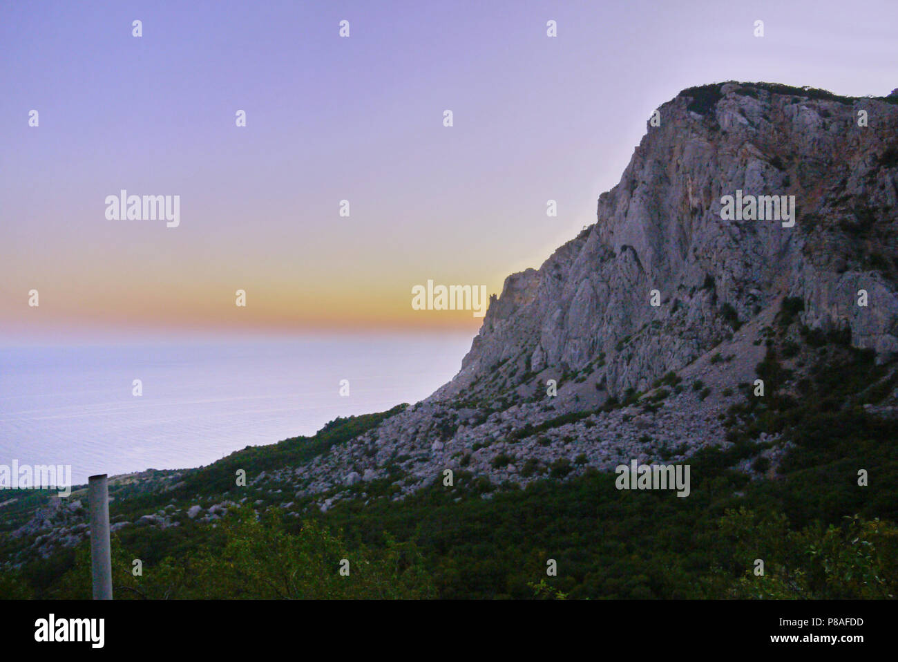 forest at the foot of a steep cliff against the backdrop of a beautiful ...