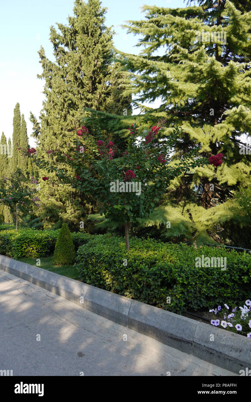 A promenade park alley with beautiful decorative greenery along its ...