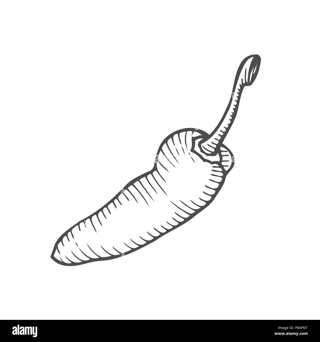 Pepper draw plant Cut Out Stock Images & Pictures - Alamy