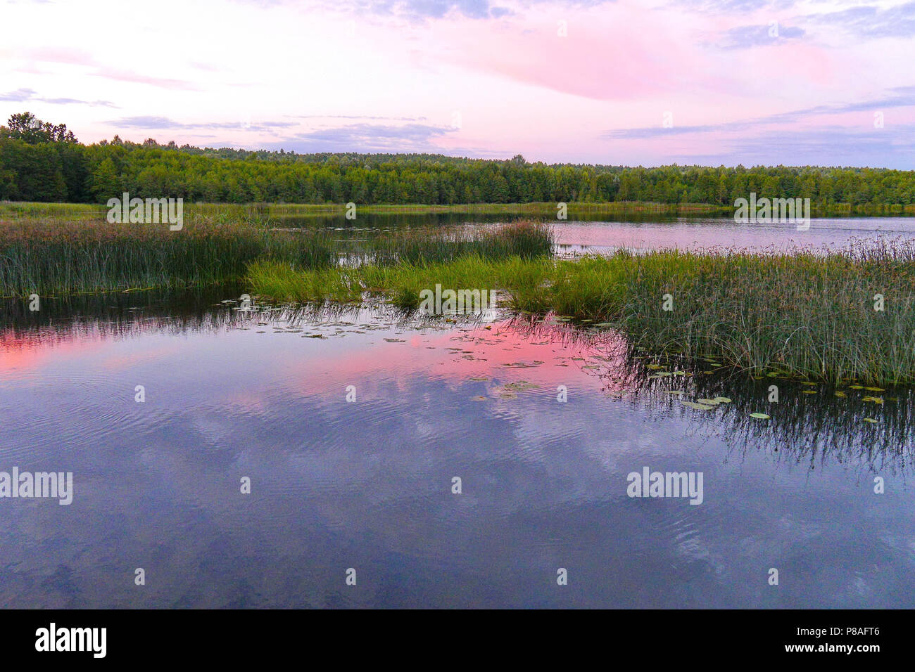 Pink evening sunset reflected in a transparent river surface against a ...