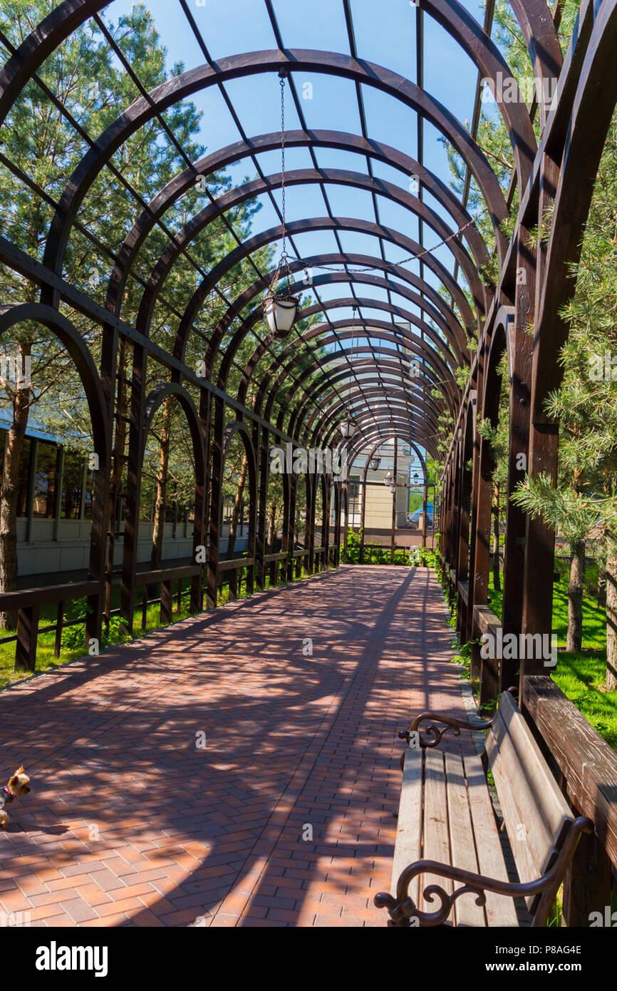 Bench for rest standing on the avenue with an arch in full length made ...