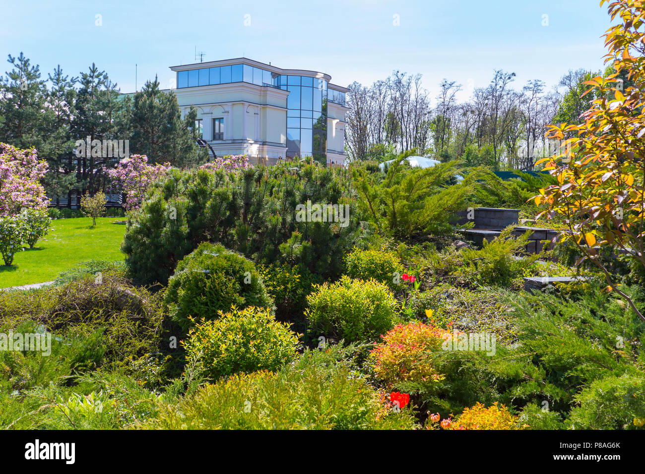 A flower bed with small flowers and decorative green shrubs against the ...