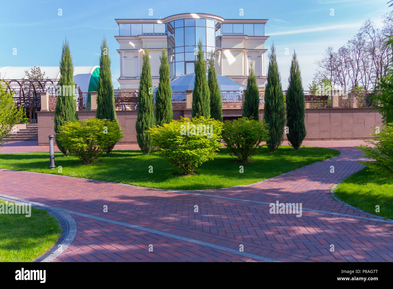 Slender Trees High Resolution Stock Photography and Images - Alamy