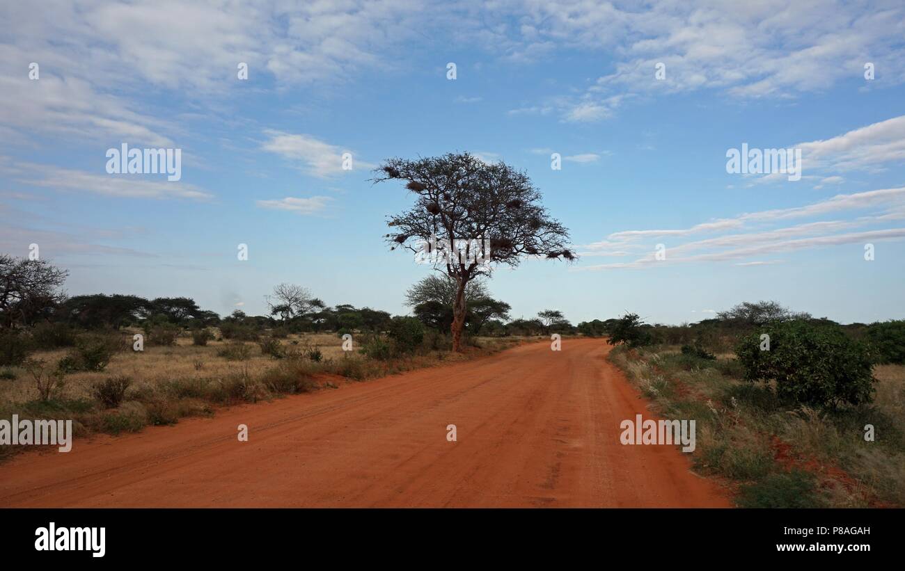 dusty red road in kenyan national park Stock Photo - Alamy