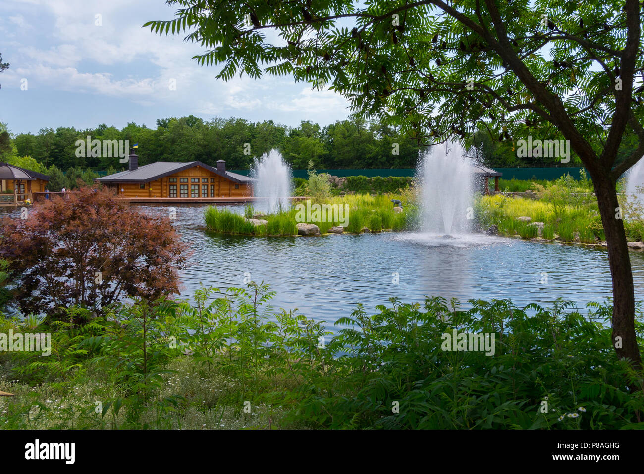 beautiful landscape design with a wooden house and fountains on the ...