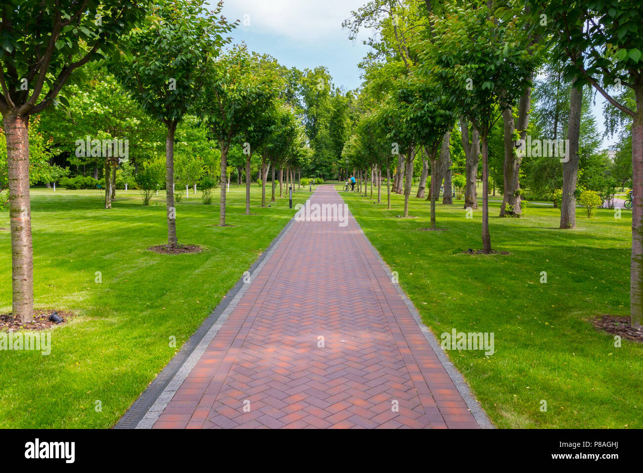 A beautiful alley in the park is paved with tiles with a green lawn on ...