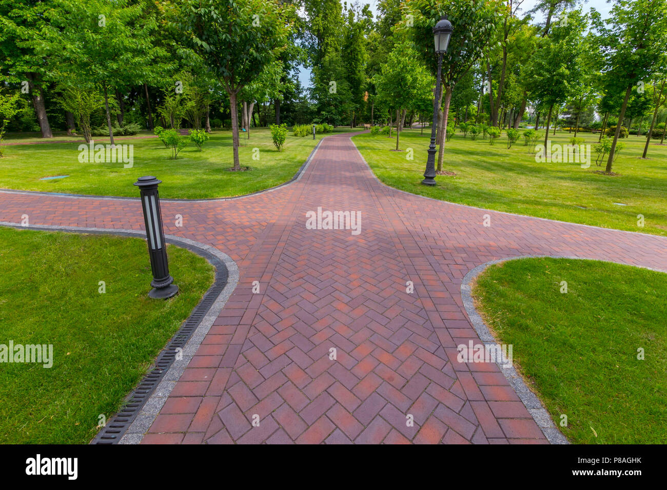 A red-tinted alley lined with smoothly cut out lawns and green trees ...