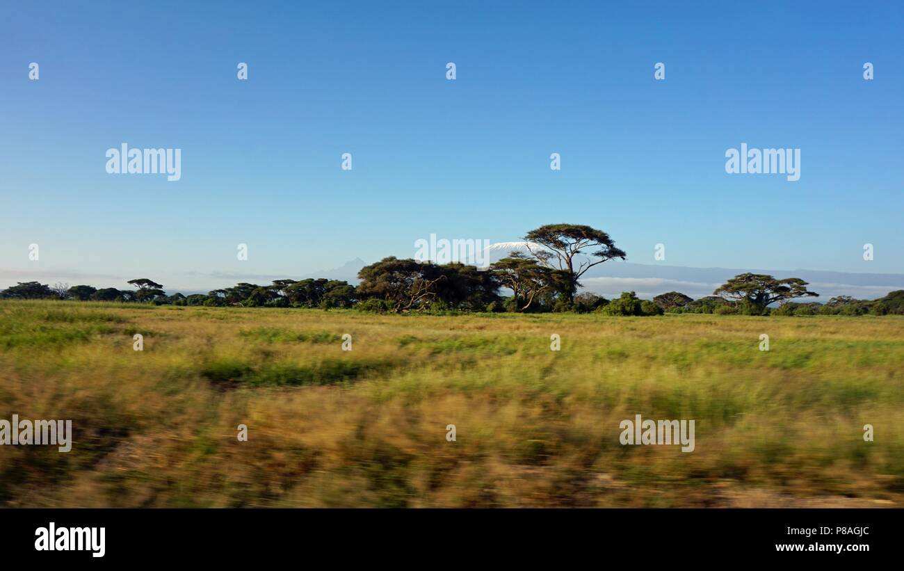 landscape in kenyan national park with mount kilimanjaro Stock Photo ...