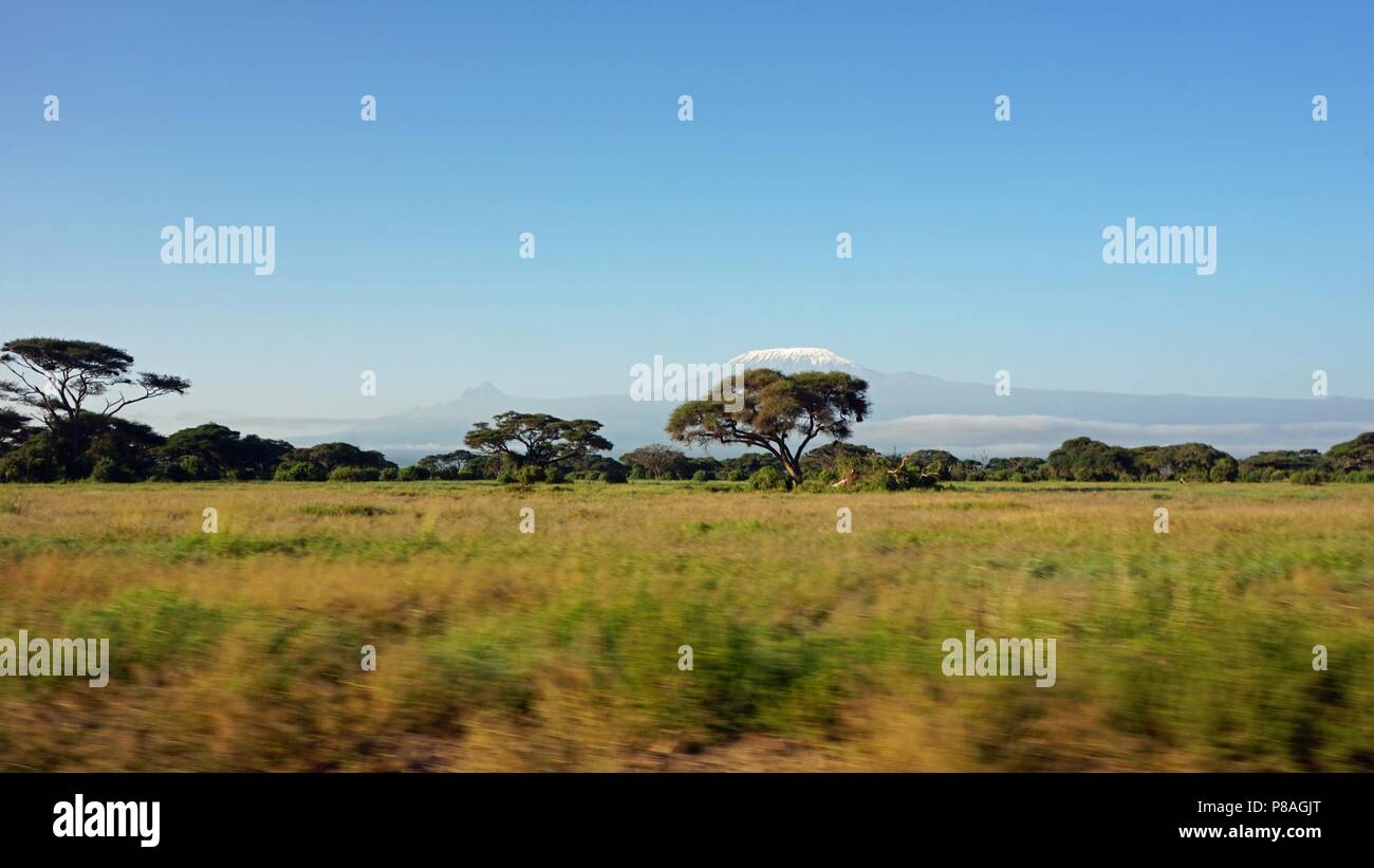 landscape in kenyan national park with mount kilimanjaro Stock Photo ...