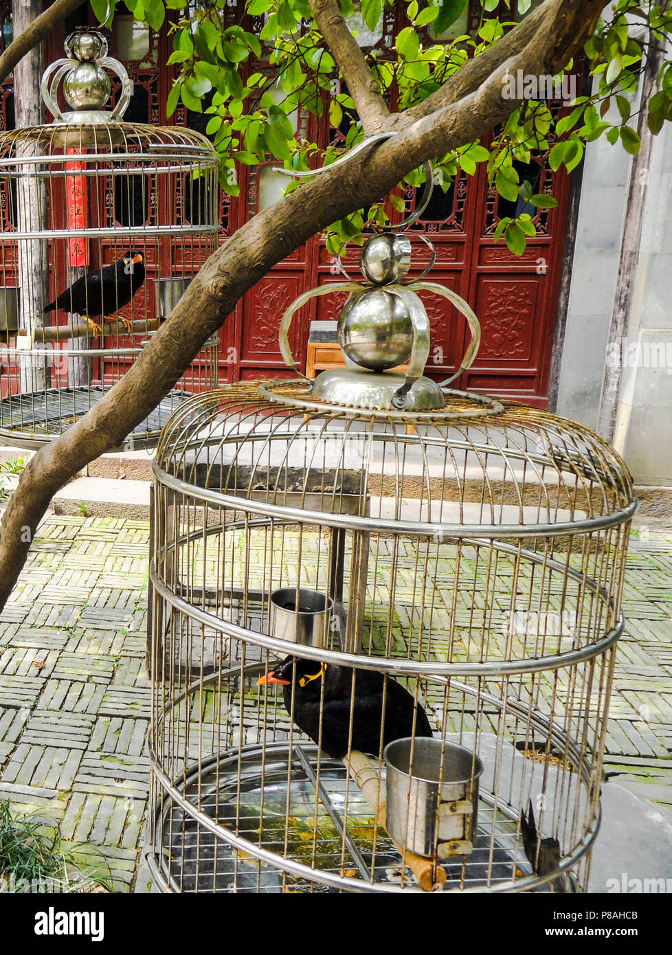 Chinese bird cages hi-res stock photography and images - Alamy