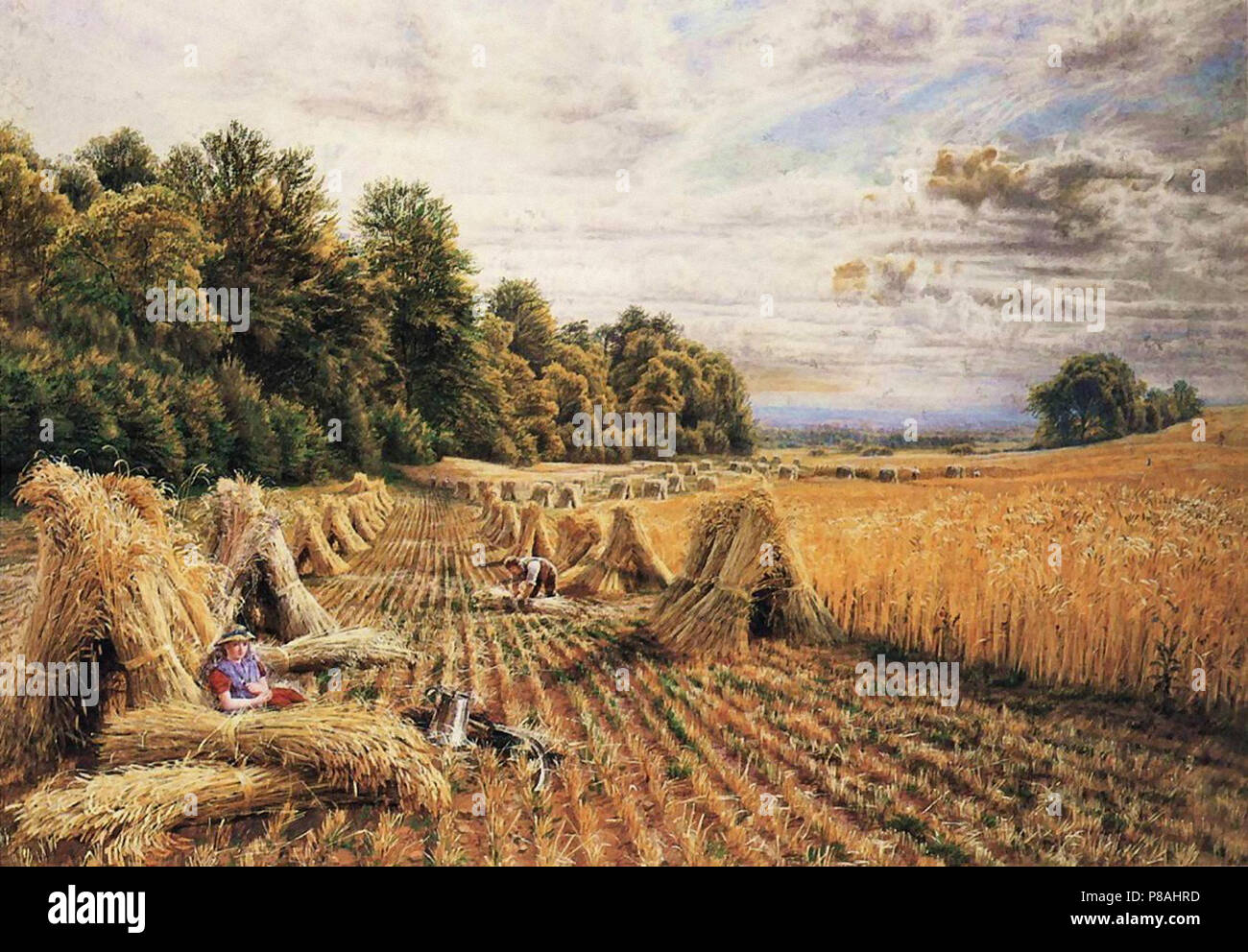 Corn Stooks High Resolution Stock Photography and Images - Alamy