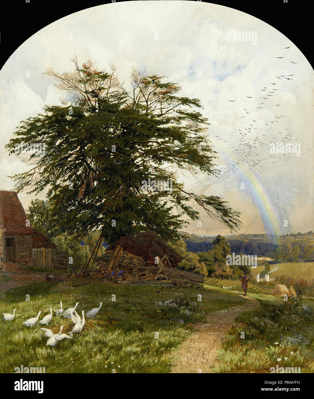 George the rainbow hi-res stock photography and images - Alamy