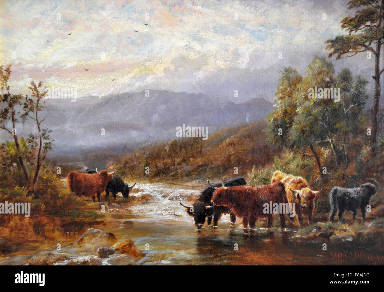 Highland cows painting hi-res stock photography and images - Alamy