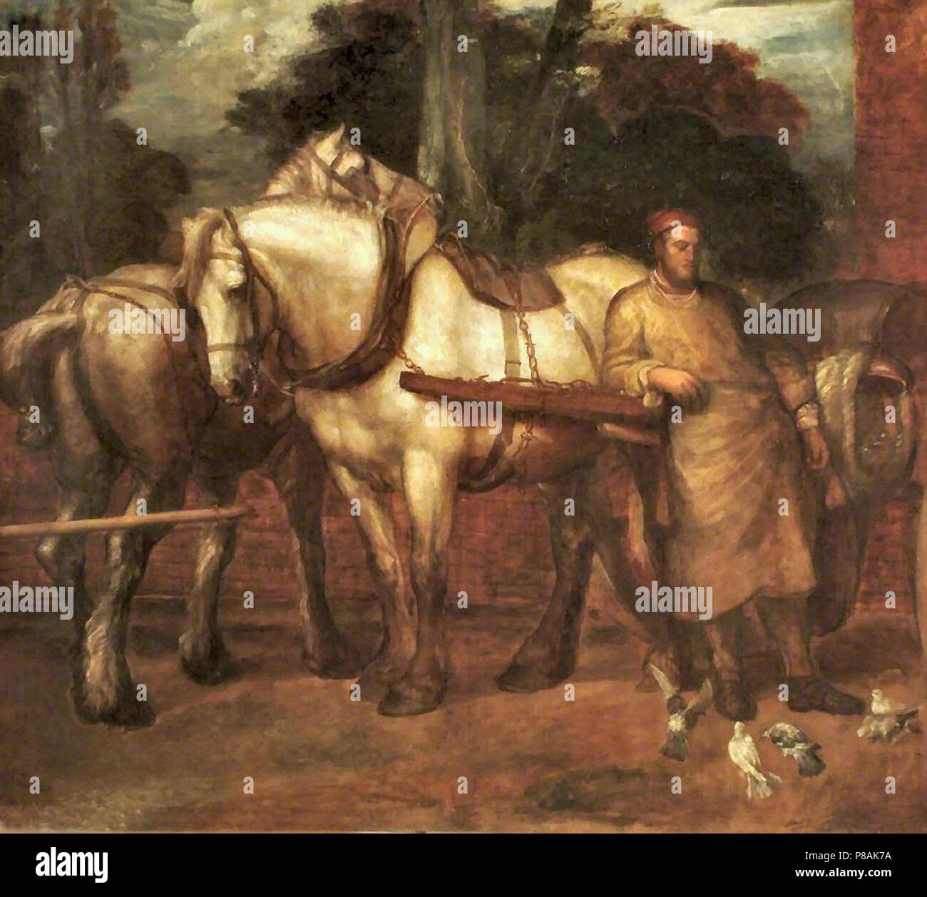 Dray horses hi-res stock photography and images - Alamy