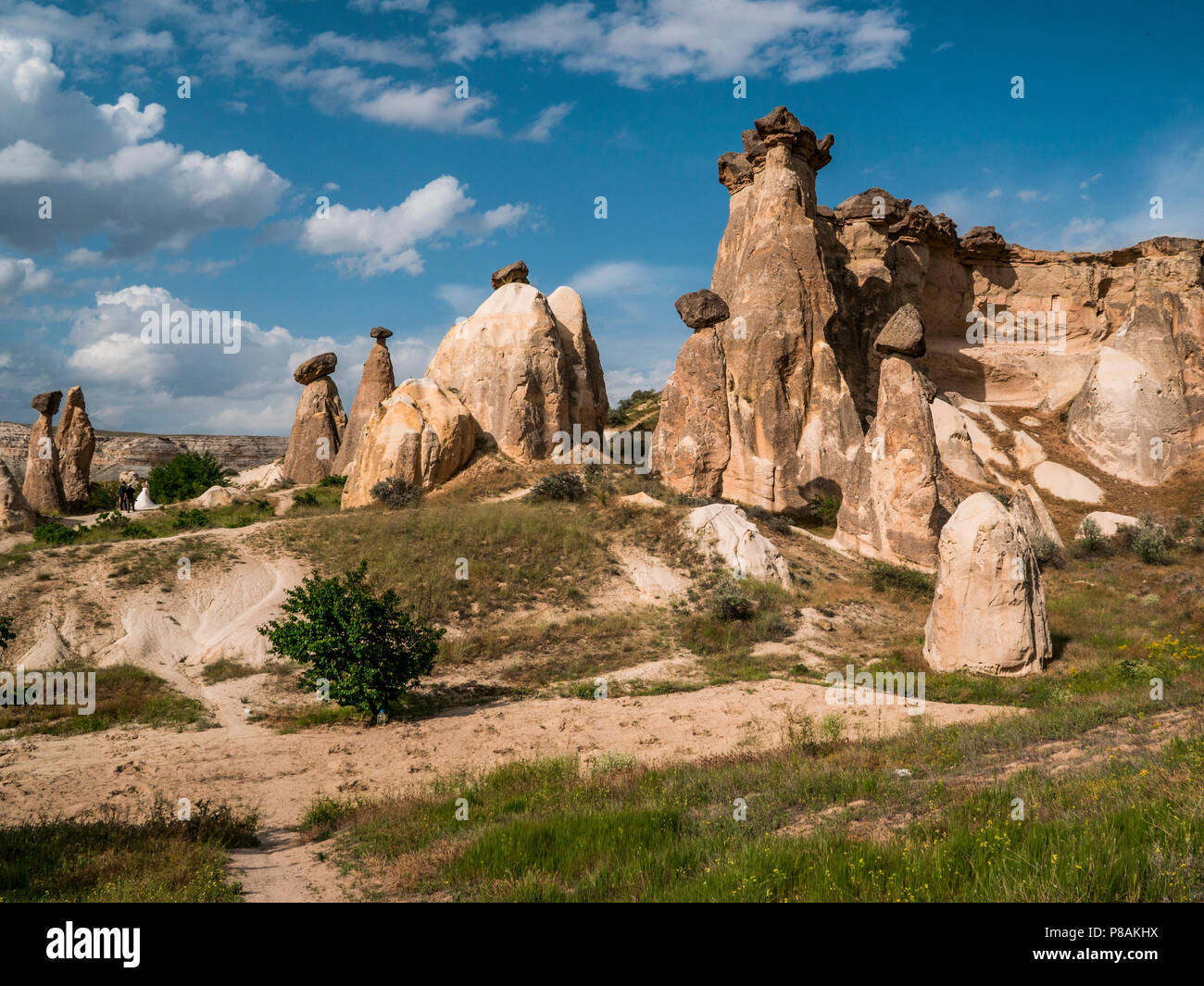 Mushroom rock pasabag cappadocia turkey hi-res stock photography and ...