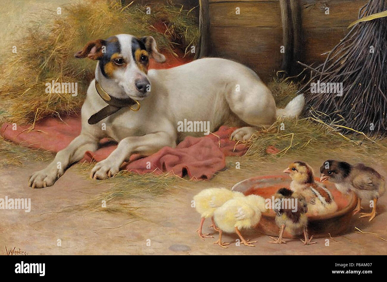 Weekes william hi-res stock photography and images - Alamy