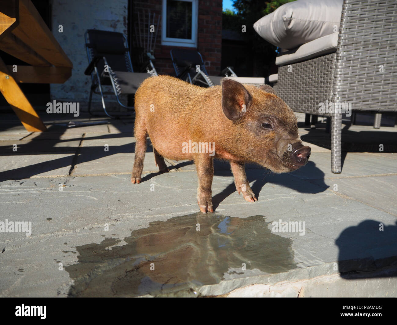 Grunt house hi-res stock photography and images - Alamy