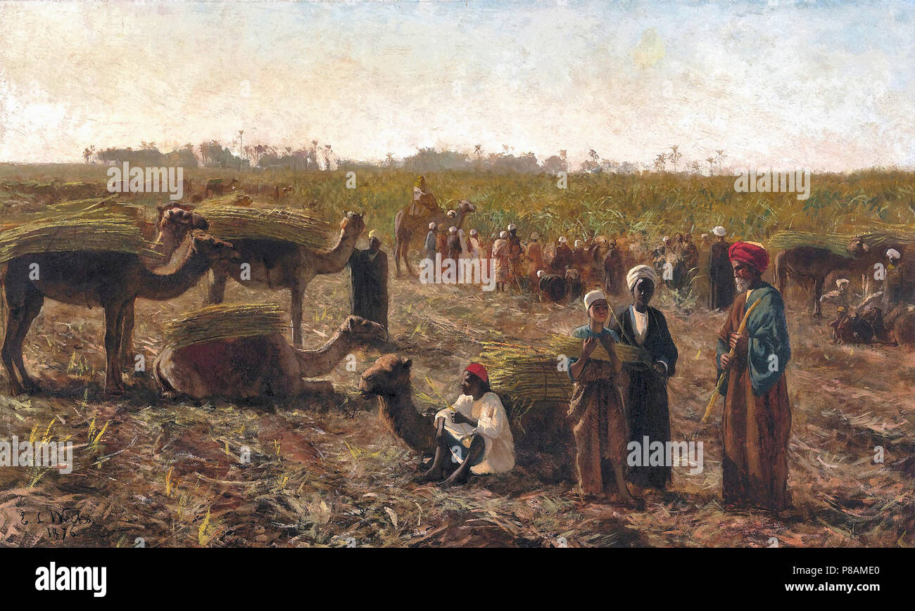 Field workers in 19th century hi-res stock photography and images - Alamy