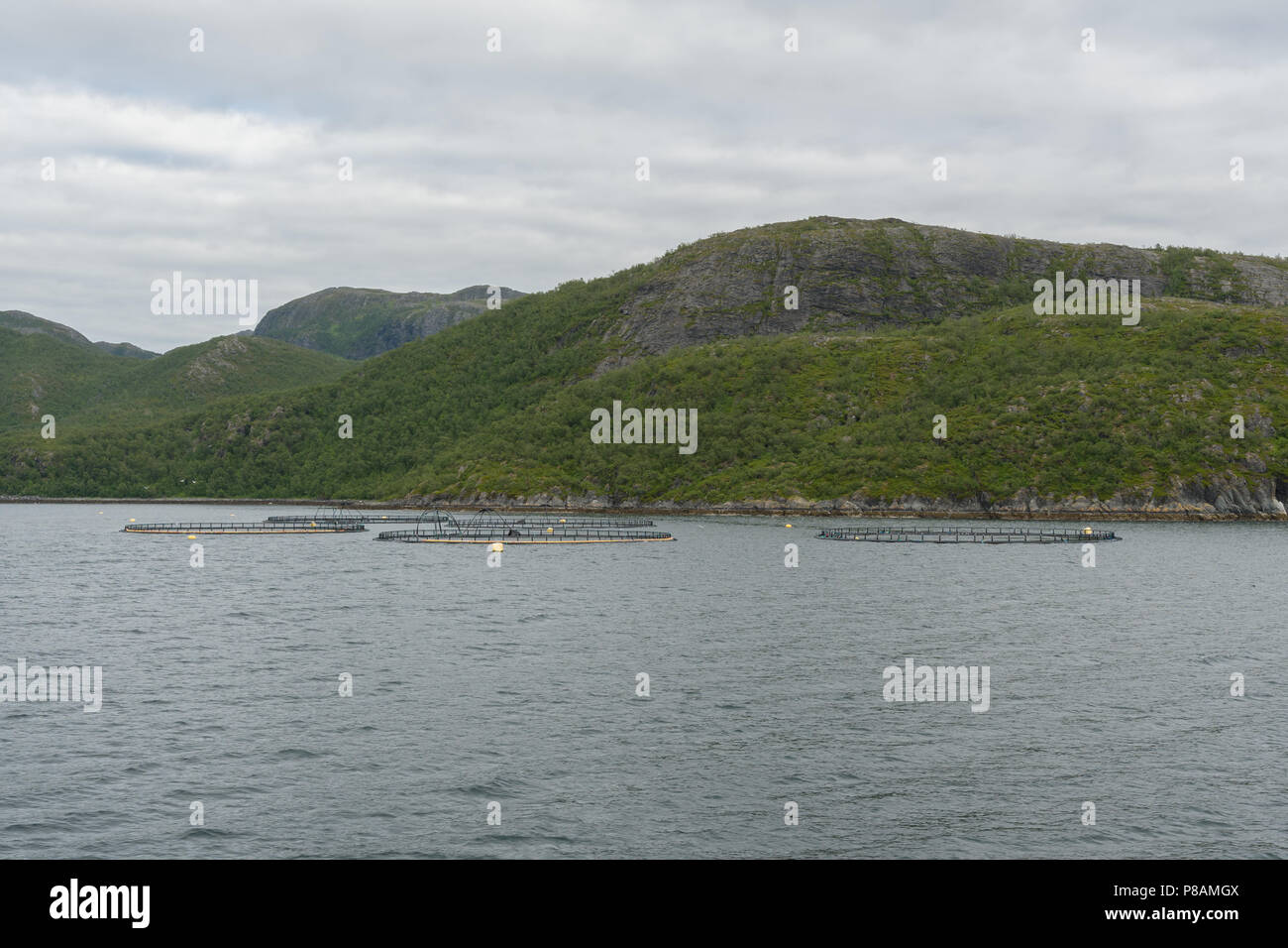Norway fish farming hi-res stock photography and images - Alamy