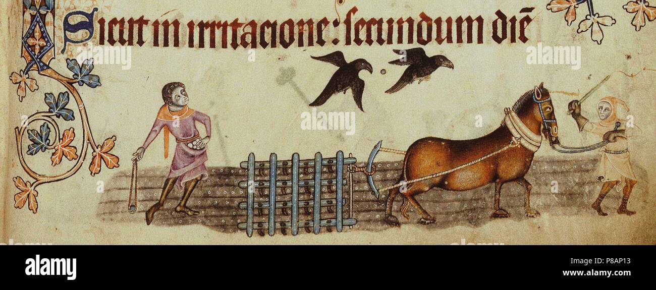 Luttrell psalter hi-res stock photography and images - Alamy