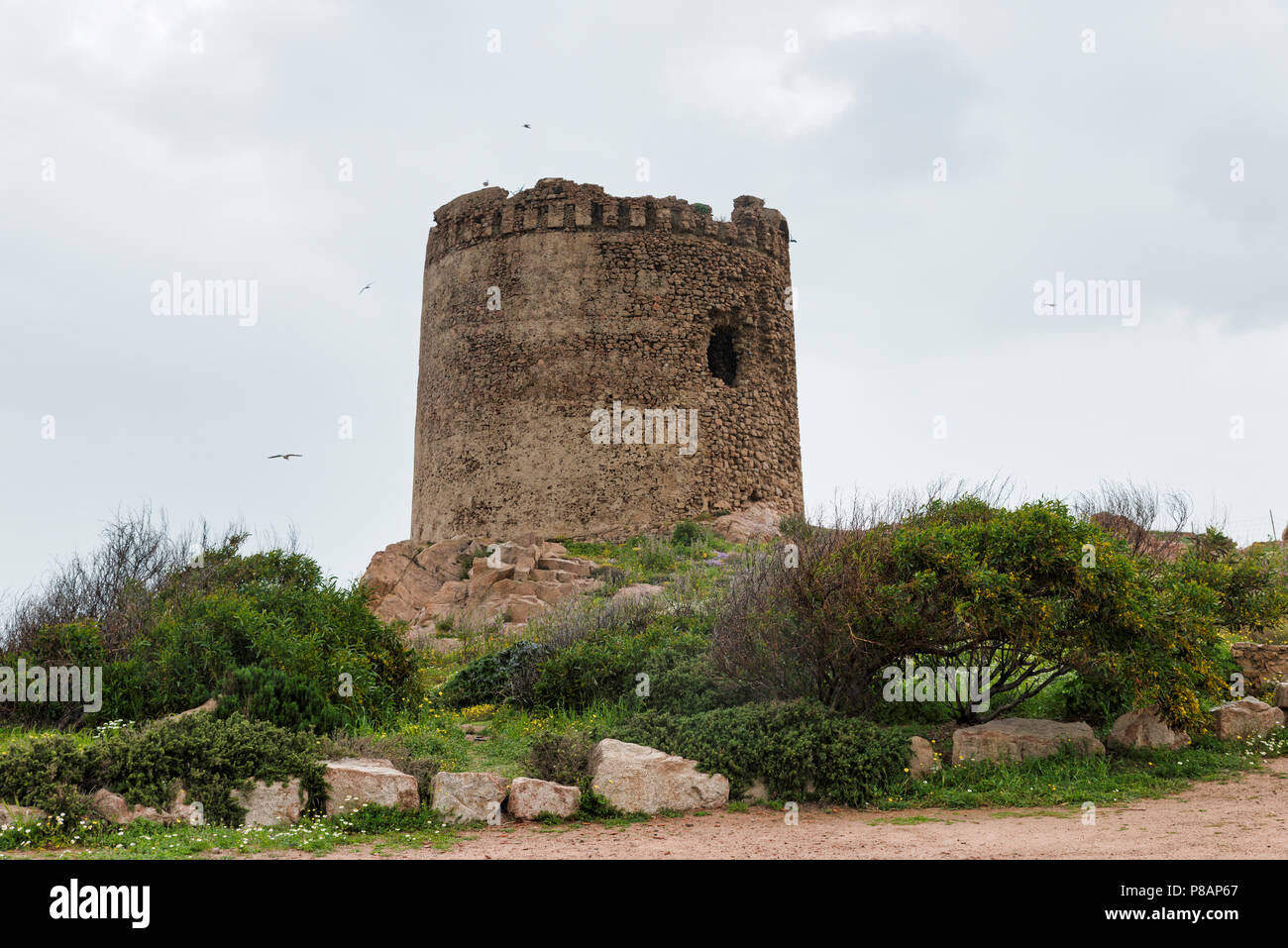Nuraghe on the island of sardinia Italy,what is known about the Nuragic ...