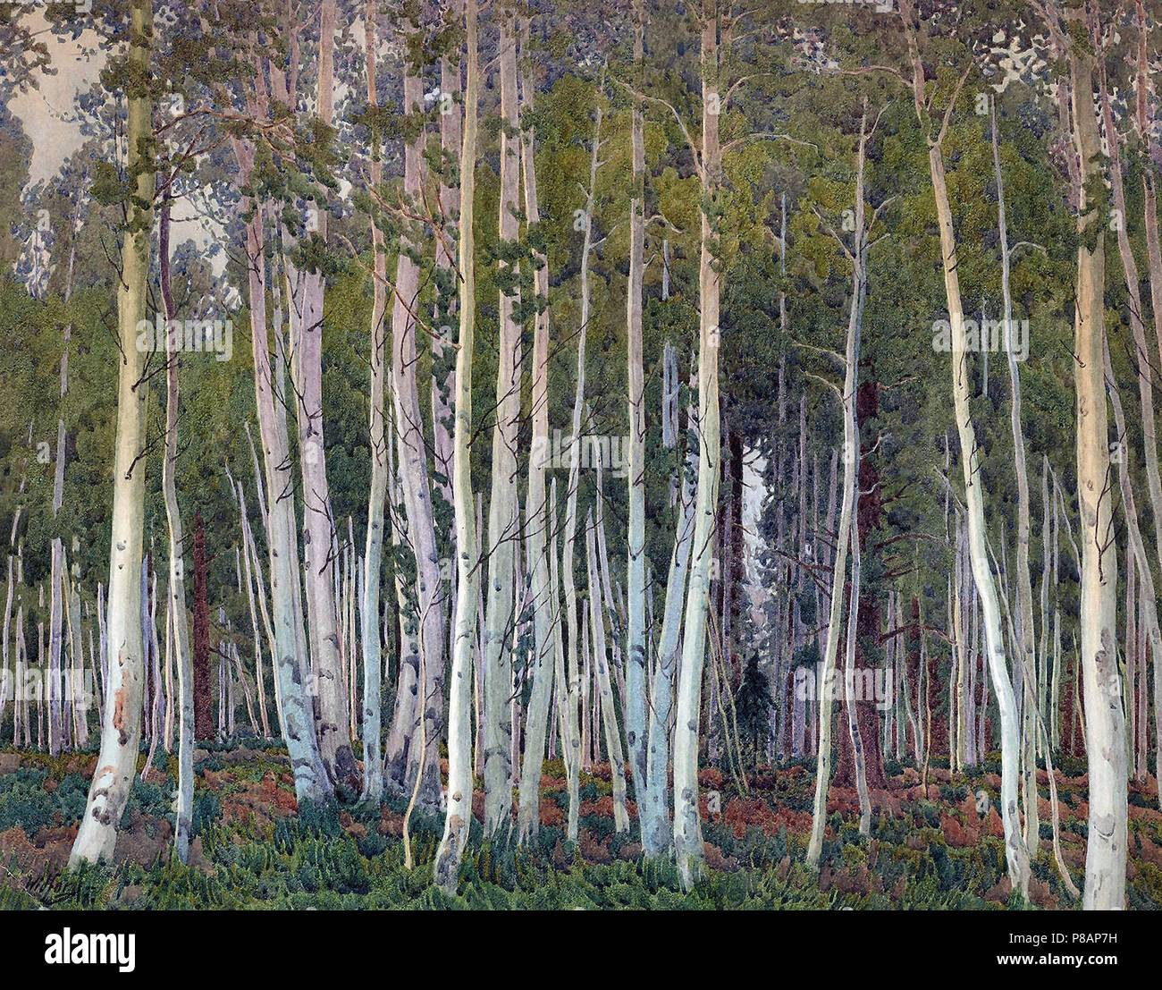 Widforss Gunnar - Aspen on the North Rim Stock Photo - Alamy