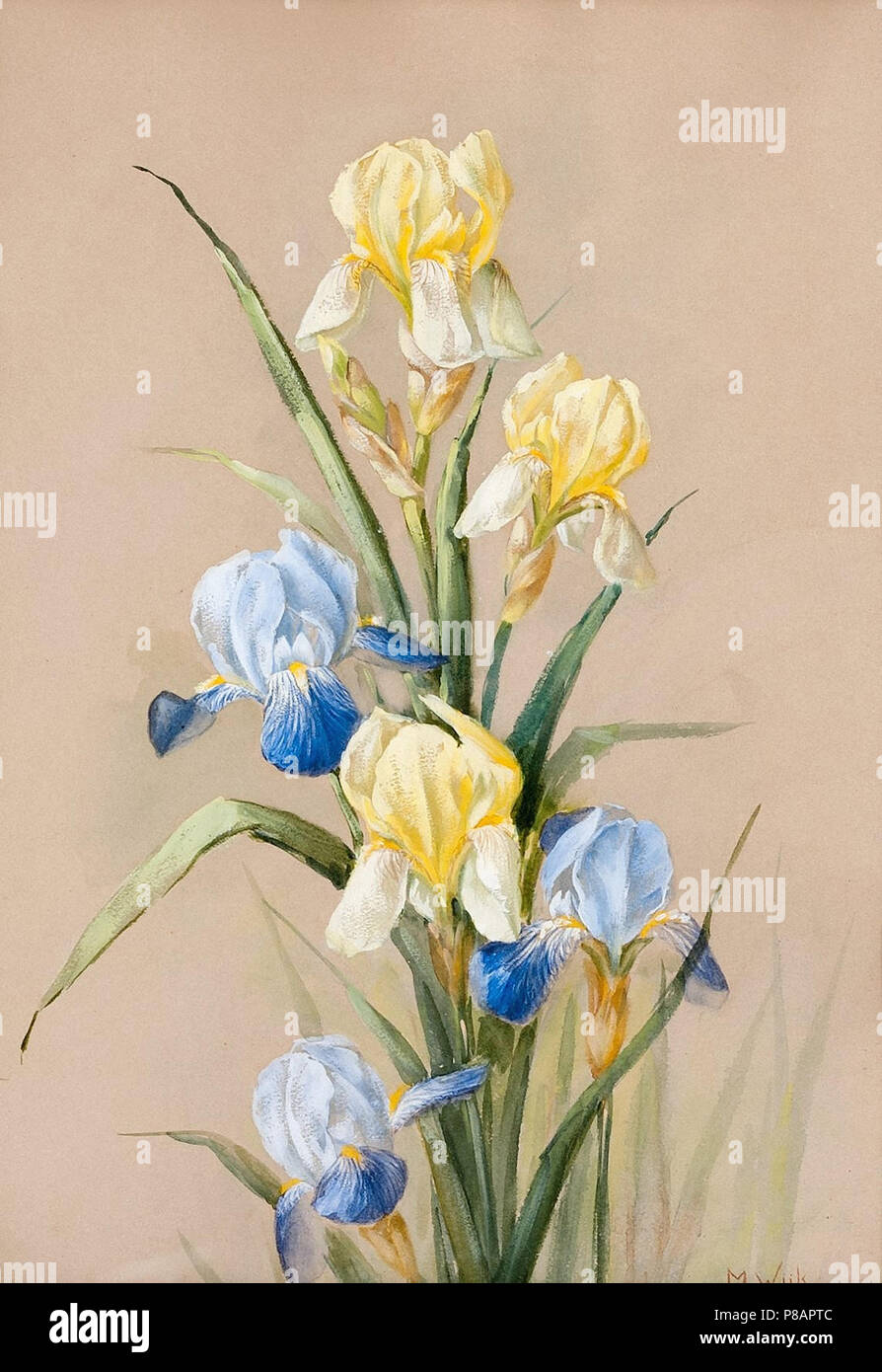 Maria wiik hi-res stock photography and images - Alamy