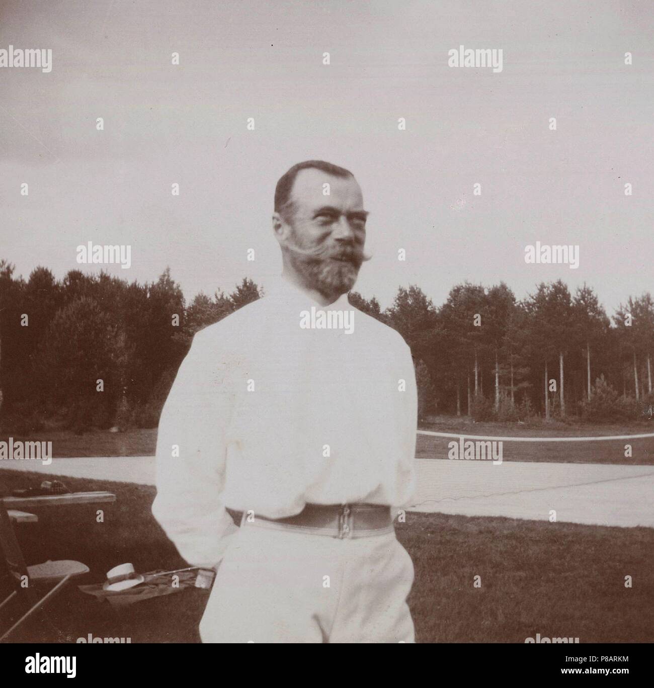 Tsar nicholas ii hi-res stock photography and images - Alamy